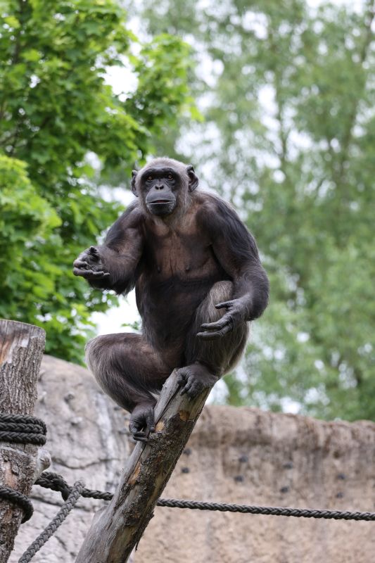 Zoo München - Tierpark Hellabrunn | tiergaerten.de